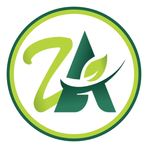 ZA Traders – Premium Bulk Seed Exporter Pakistan